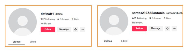 Celebian Review: What Happened After Buying TikTok Likes
