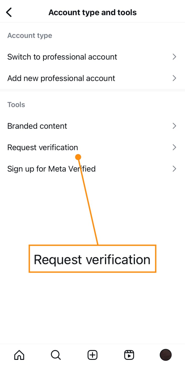How to Get Verified on Instagram with a Blue Check (2025)