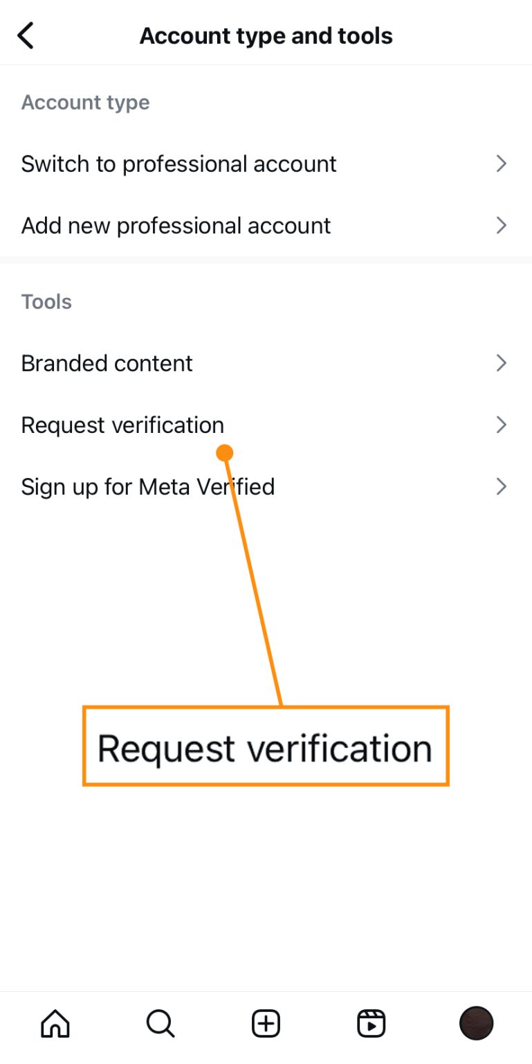 How to Get Verified on Instagram with a Blue Check (2025)